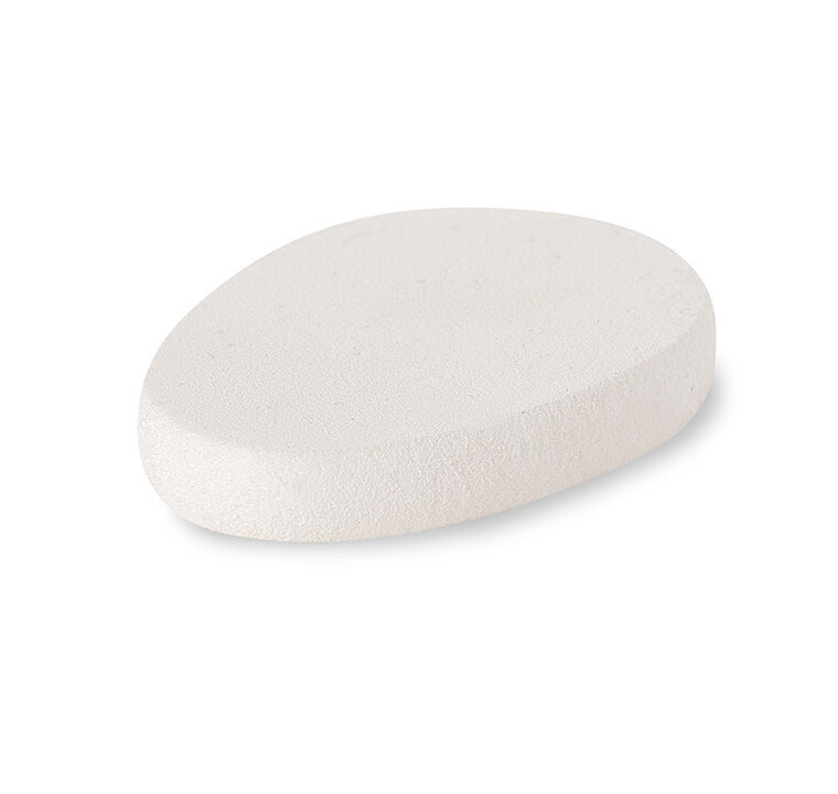 Oval Sponge for Make-up - Make up - Carobels Cosmetics