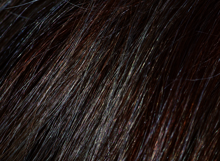 Shampoo di colore- Castano scuro - Beardburys - Carobels Cosmetics